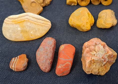 Mississippi Valley Chert Gravel Fossils Yalobusha Farms