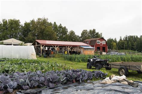 Sun Circle Farm Growing Organically In Alaska Alaska Food Policy Council