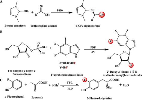 The Fluorinated Compounds Were Obtained By Combination Reactions A