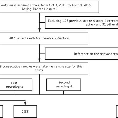 Technological Route Ciss Chinese Ischemic Stroke Subclassification