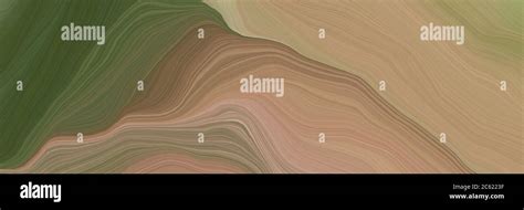 Unobtrusive Header With Colorful Elegant Curvy Swirl Waves Background Illustration With Rosy
