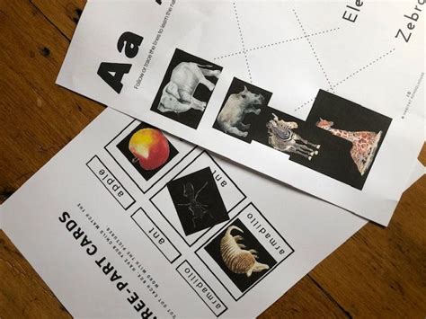 Black Boxes Printing Around Images Hp Support Community 7078080