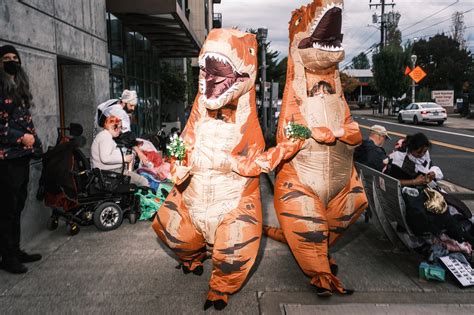Among Portland Protests Its Frogs And Sharks And Bears Oh My The