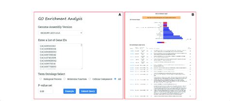 Go And Kegg Enrichment Analysis Process In Grop A Submission Form Download Scientific