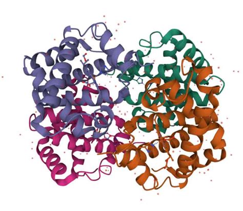 How To Build And Improve Deep Learning Models With Protein Sequencing Intel Tiber AI Studio