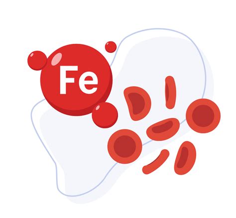 Unsaturated Iron Binding Capacity High Treatment At David Desantis Blog