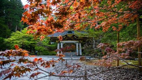 Nikko Fall Foliage 2026 15 Best Spots To View Autumn Colors In Japan