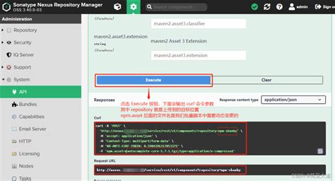 Windows Nexus Maven Npm