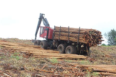 New Timberpro Harvester And Forwarder In Sa Timber Iq Online