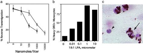 Emigration Of Monocyte Derived Cells From Atherosclerotic Lesions Characterizes Regressive But