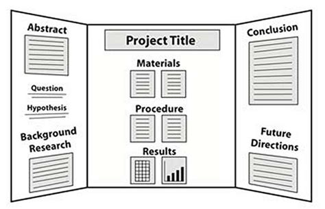 Science Fair Projects Layout