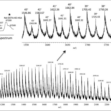 Mass Spectrum Obtained By Esi Q Tof Mass Spectrometry For A Labelled Download Scientific