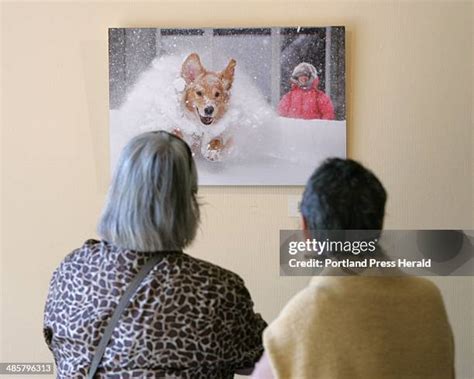 Chris Labbe Photos And Premium High Res Pictures Getty Images