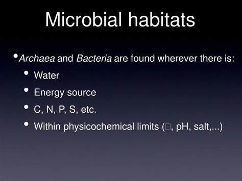 Ppt Lecture 21 Bacterial Diversity And Microbial Ecology Powerpoint