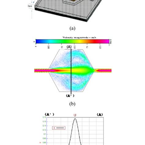 Conventional Spr Chip A Schematic Of The Spr Chip B Velocity Download Scientific Diagram
