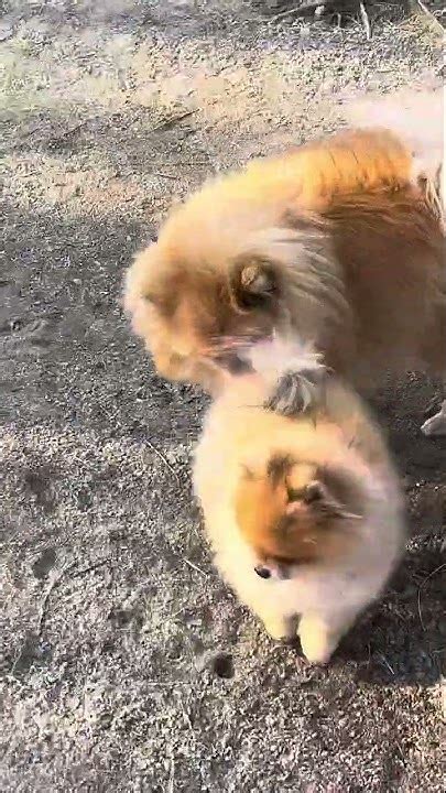 우리 꽤 친해요 Youtube