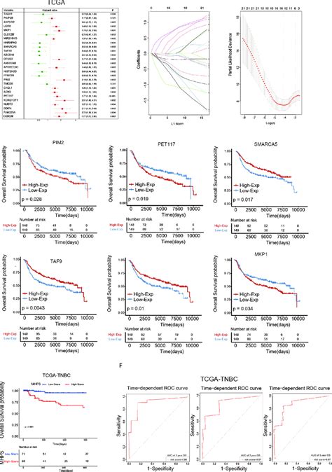 Construction Of M6a Hypoxia Signaturemhps Athe Forest Plot Of