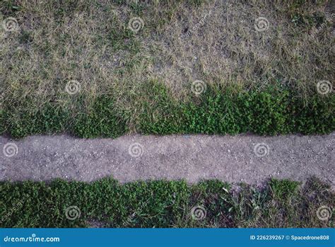 Horizontal Forest Path Bottom Aligned Background Royalty Free Stock