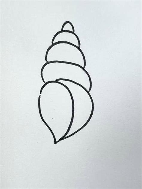 一二三年级画海螺简笔画（精选15张）简笔画图片大全