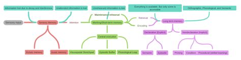 sensory input coggle diagram