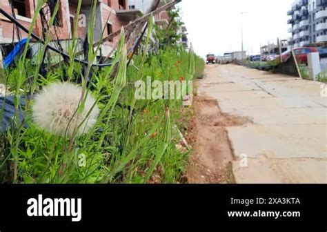 Urbanization Solutions Stock Videos And Footage Hd And 4k Video Clips