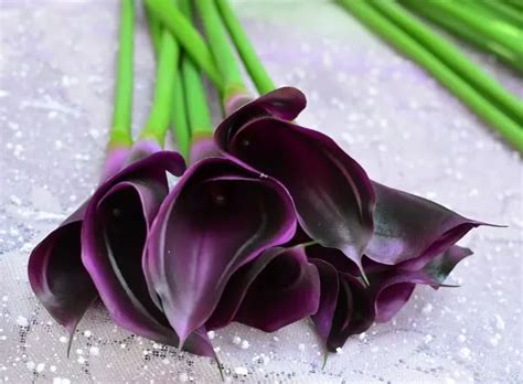 Real Touch Calla Lily Eggplant