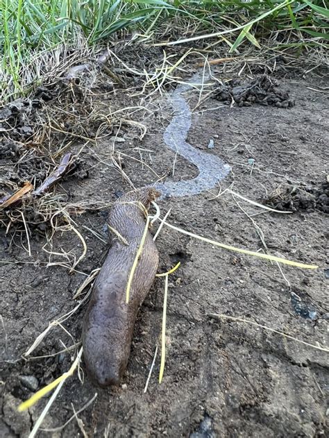 Unit Slug Rabsoluteunits