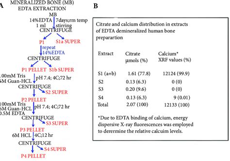 The Relative Citrate And Calcium Composition In The Mineral And Protein