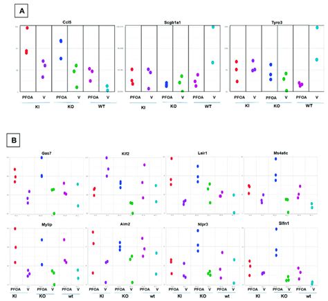 Gene Analysis Across All Genotypes Wt Ki Ko With And Without Pfoa