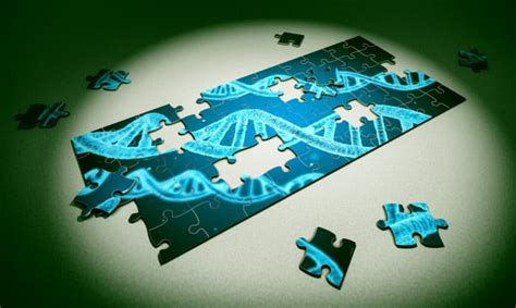 How Our Gxe Gene Environment Interaction Makes Us Who We Are Brain