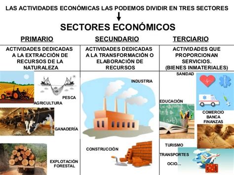Sector Primario Secundario Y Terciario Diferencias Y Ejemplos Ejemplos De Sectores Primarios