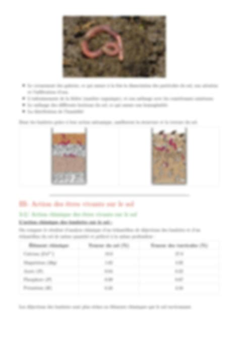 Solution Cours 2 3 Role Des Etres Vivants Dans L Evolution Du Sol 2