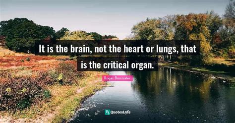 It Is The Brain Not The Heart Or Lungs That Is The Critical Organ