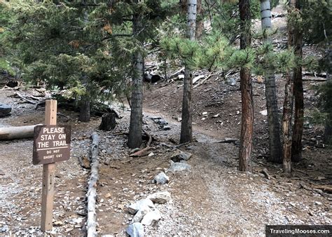 Mary Jane Falls Trail Mount Charleston Nv Traveling Mooses