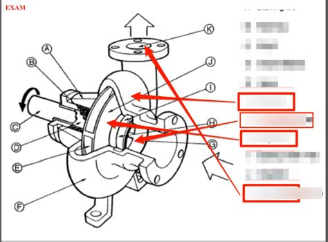 Know Your Impeller Pump Parts Diagram Quizlet