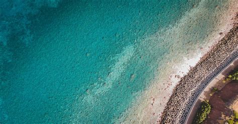 Lazy Violet Unleashes An Anthem Of Pride With Violet