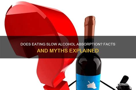 Does Eating Slow Alcohol Absorption Facts And Myths Explained Cyalcohol