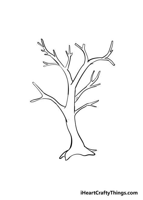 Simple Tree Drawings Branches How To Draw Tree Branches Without Leaves