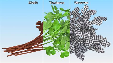 Cilantro Bunch 3d Model 39 3ds Blend C4d Fbx Max Ma Lxo Obj