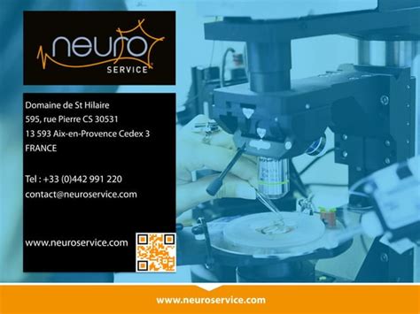 Multi Electrode Array Technique Evaluation Of Compounds On Nmda Receptors Pdf Brain And