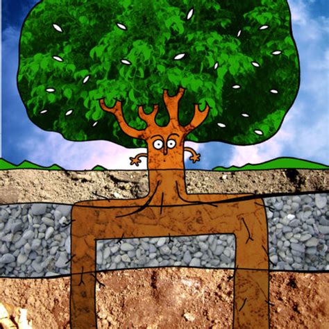 Square Root Press Classful