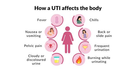 What Are The Symptoms Of Utis In Females Buy Uti Treatment