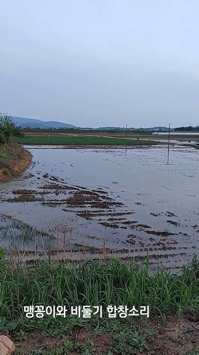 맹꽁이소리 Shotts Youtube