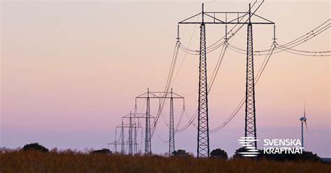 Niclas Damsgaard Posted On Linkedin