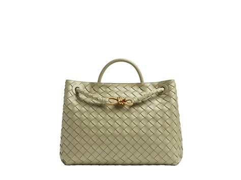 Bottega Veneta Medium Andiamo In Lambskin With Brass Finish Hardware