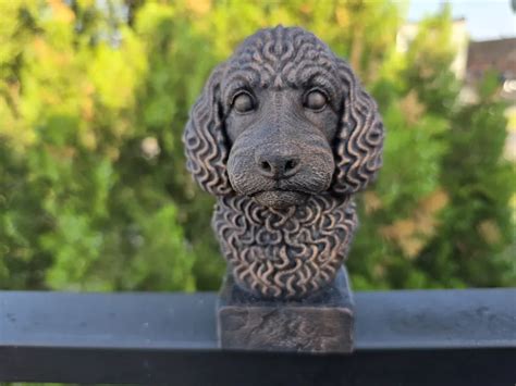 Cockapoo Bust Free 3d Print Model Makerworld