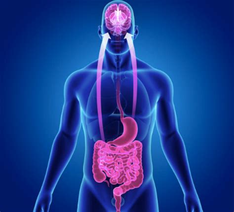 Interoception Our Hidden Sense