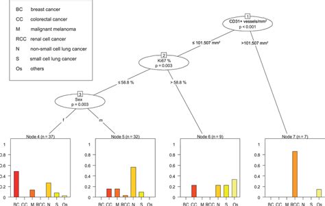 Decision Tree To Stratify The Brain Metastases Primary Tumour Entity