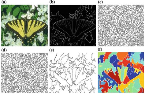 A Input Image B Ground Truth Image C Morphological Watershed Download Scientific Diagram