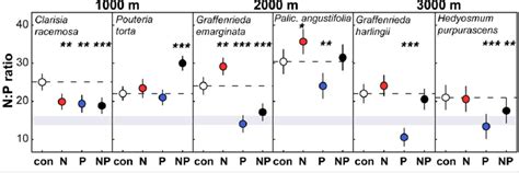 Foliar Np Ratios In The Seedlings Of Six Common Tree Species After